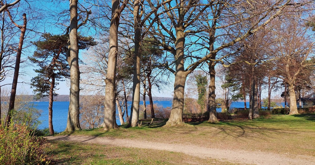 Lyngby-Taarbæk Kommune lancerer nye kvalitetsbeskrivelser for grønne ...